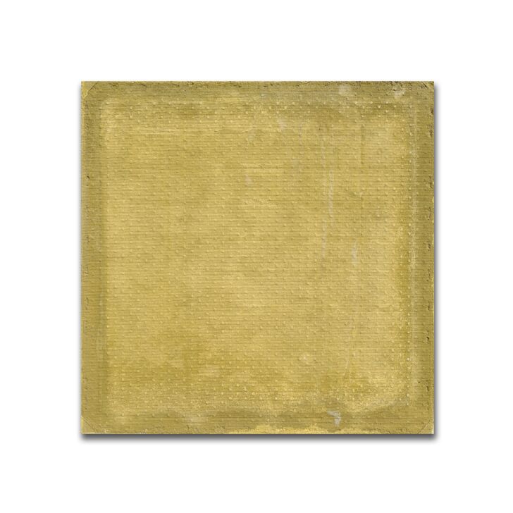 Moreton Buff - Textured Concrete Paving Slabs (450 x 450 mm) | Paving ...